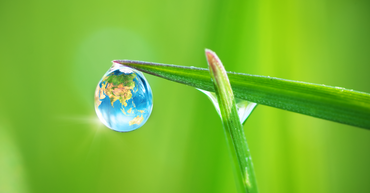 Water Conservation Strategies to Protect Our Precious Resource ...